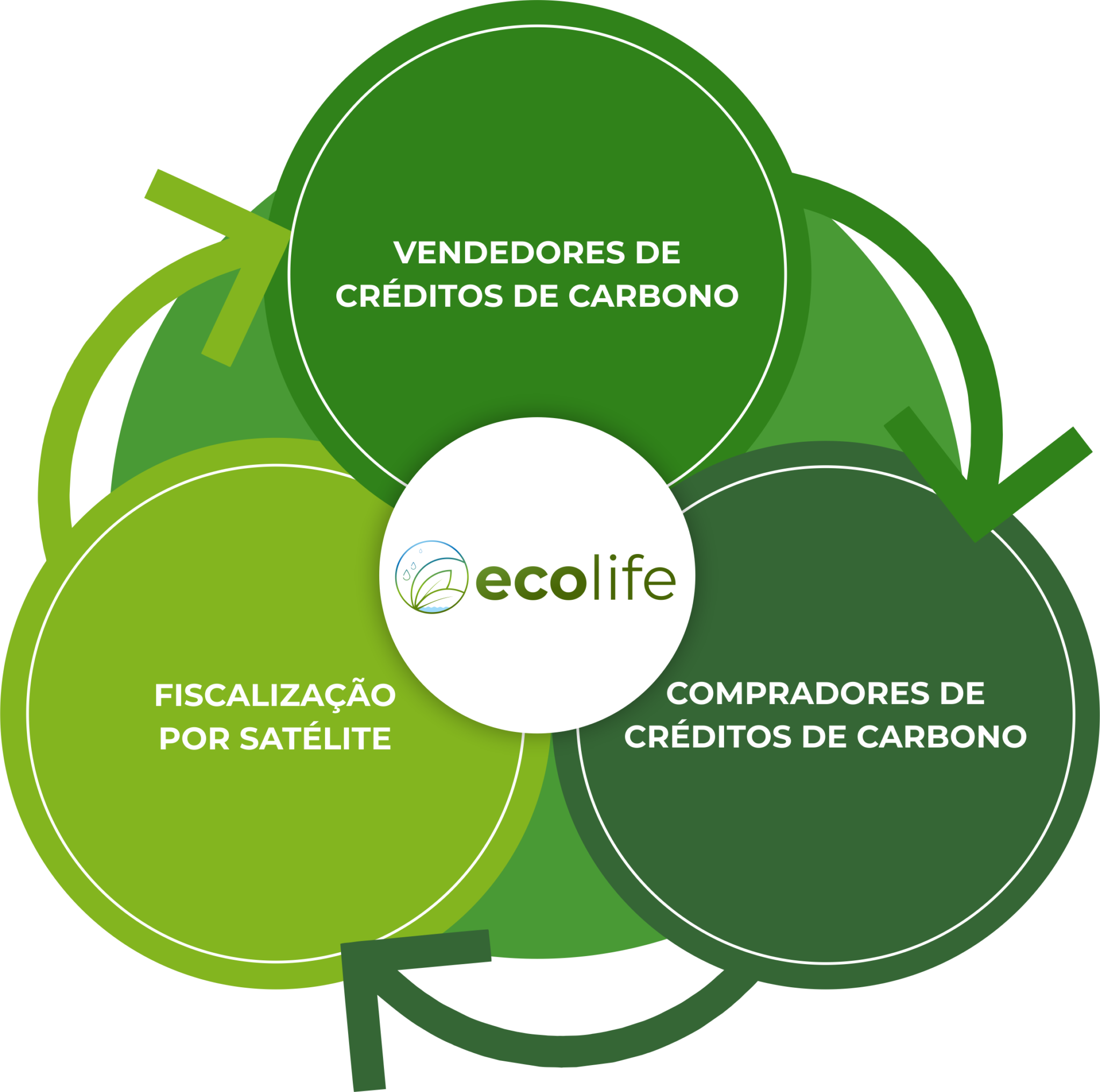 Home - ecolife